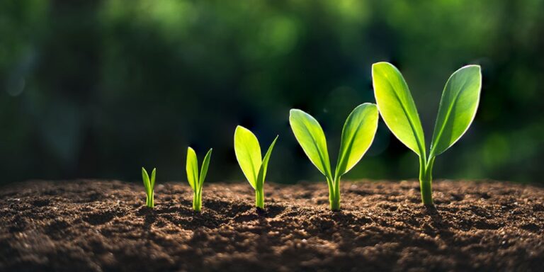 Investor Support Services | Clearview